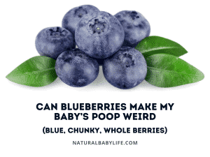 Can Blueberries Make My Baby’s Poop Weird (Blue, Chunky, Whole Berries)